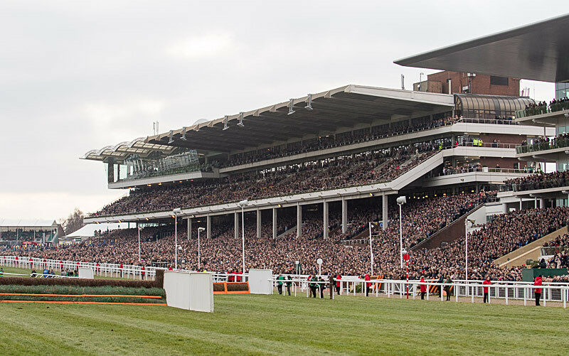 Anticipating the Excitement: A Preview of the Upcoming Cheltenham March ...