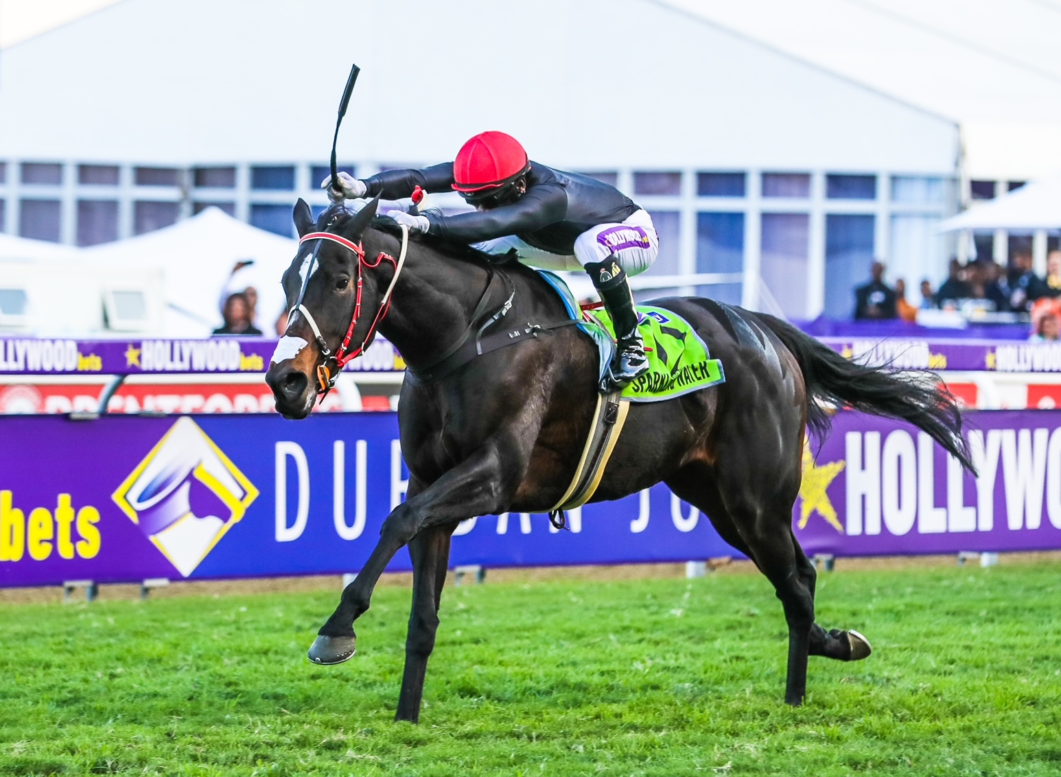 A Day At The Races - Durban Style - Racing Ahead Magazine