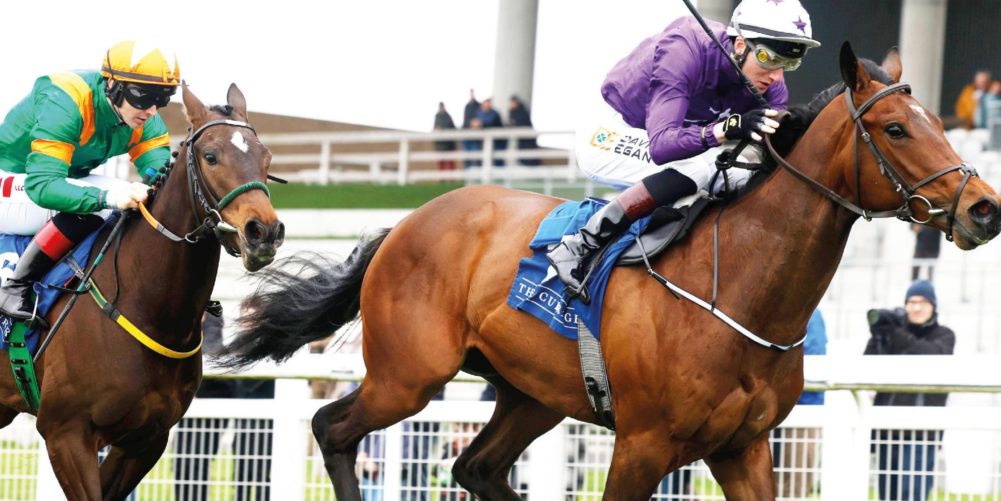 TOTS OF THE TURF SHOWING PROMISE - Racing Ahead Magazine