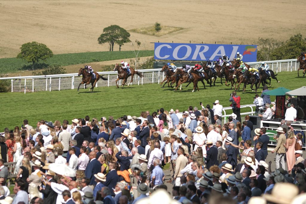 Welsh Grand National 2025 race analysis and preview: Jubilee Express ...