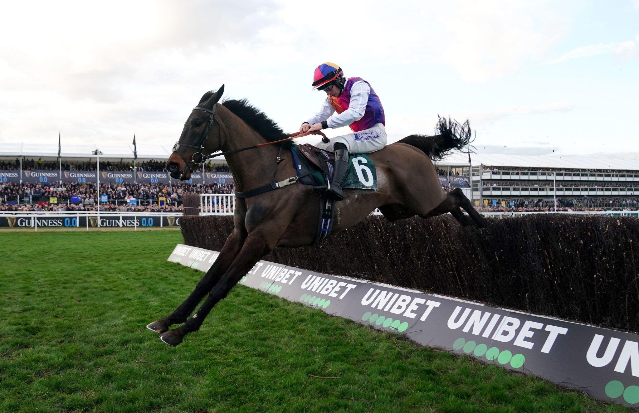 Grand National 2026: Haiti Couleurs could line up in the race, claims ...