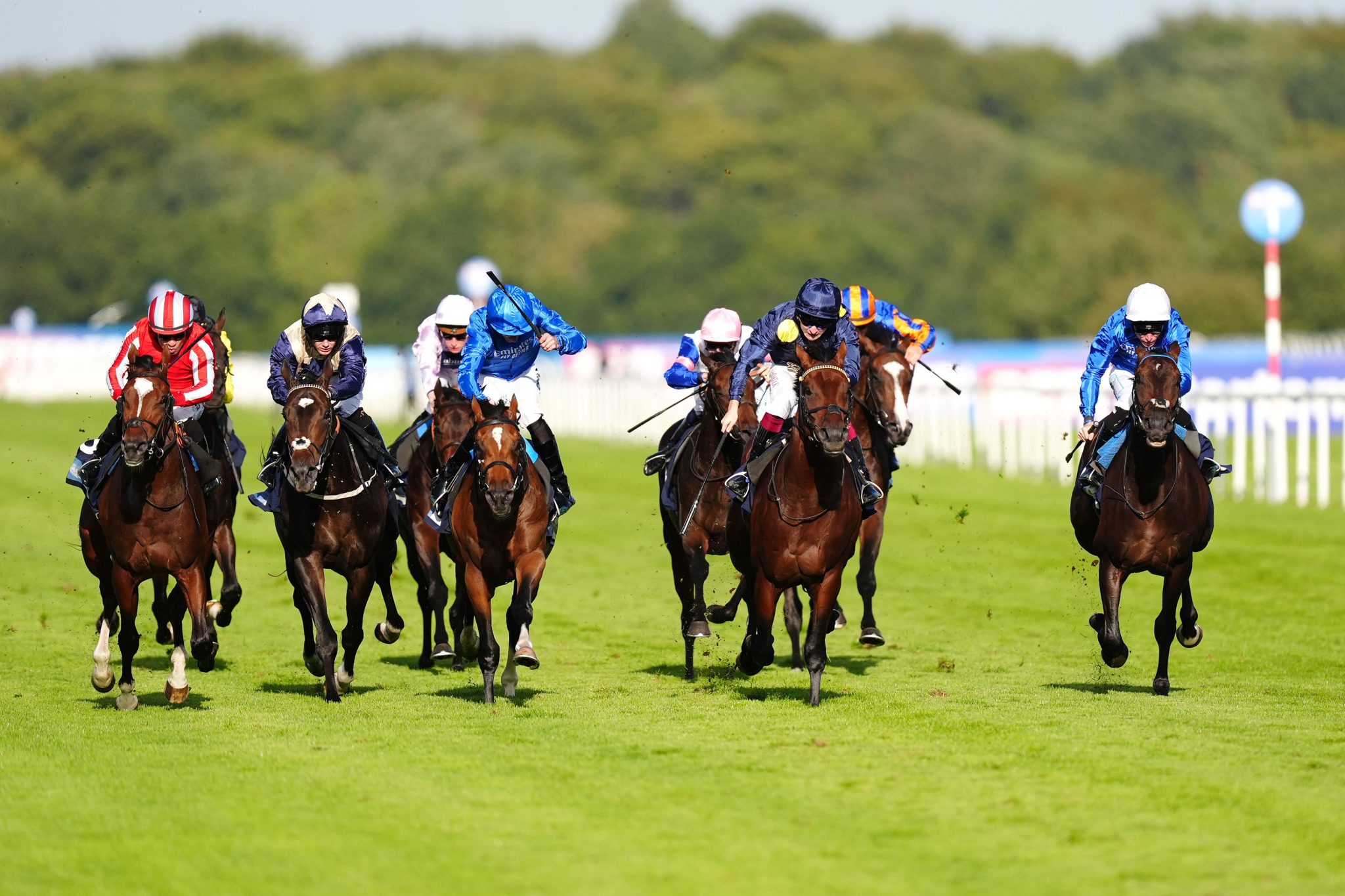 Ben Morgan's Saturday tips Chester & Sandown - Murphy to be the Lucky ...