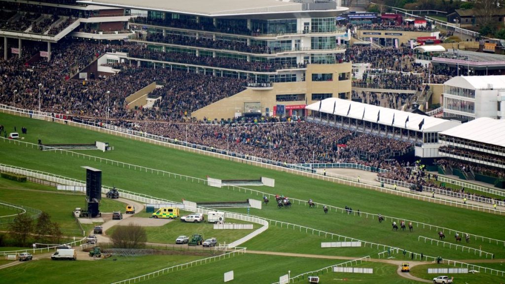 Cheltenham November Meeting 2025: Shloer Chase race analysis and ...