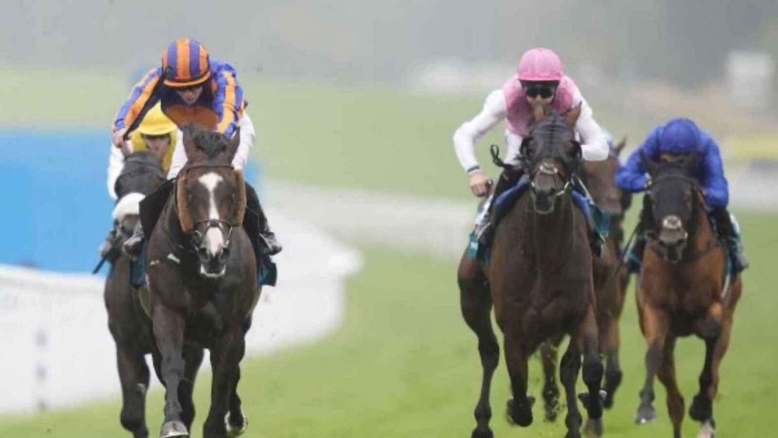 Royal Ascot 2026: Scandinavia vs Trawlerman for the Gold Cup - Racing ...