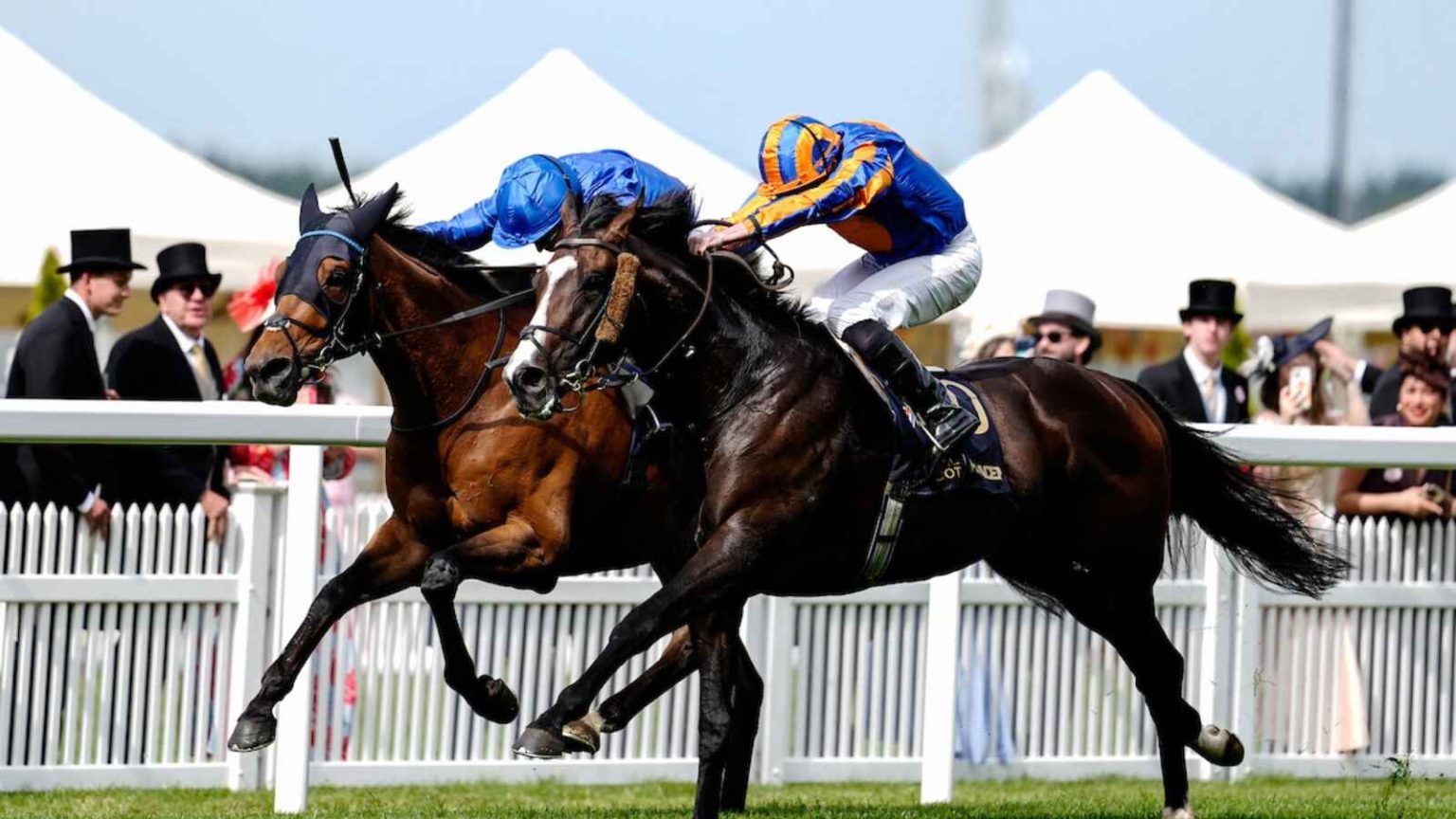 Royal Ascot 2026: Scandinavia downs Trawlerman in Gold Cup classic to ...