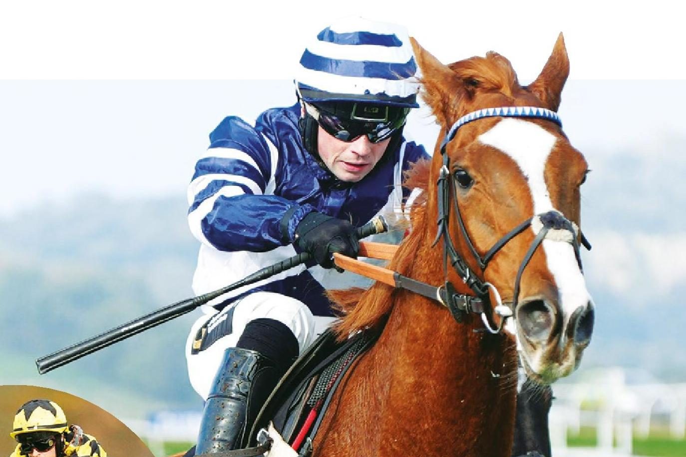 DINO SET TO SOAR: Andy Ayres reveals his top choice of prospects for ...