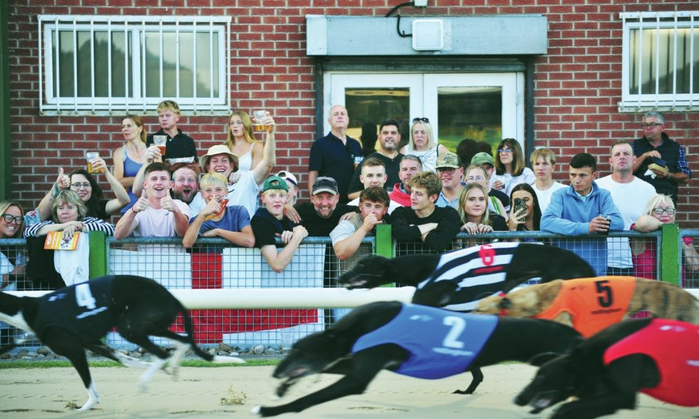 FANS FLOCKING BACK TO DOGS: Stadium bosses Arena report rocketing fresh ...