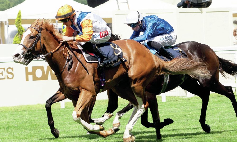 REEF SET AIDAN UP FOR TON BID - Racing Ahead Magazine